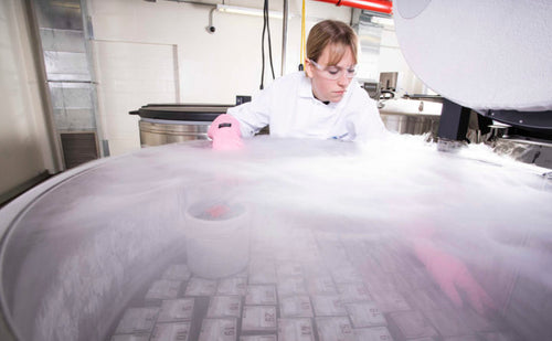 Tempshield® Cryo-Protection™ - Cryogenic Gloves and PPE