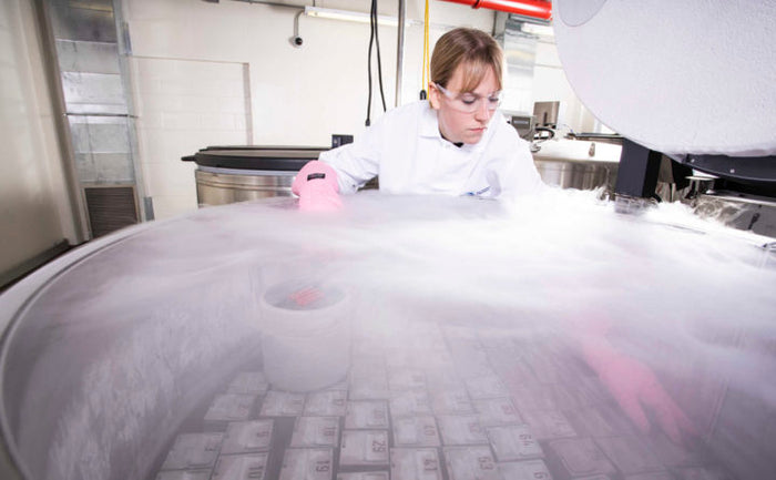 Tempshield® Cryo-Protection® - Cryogenic PPE